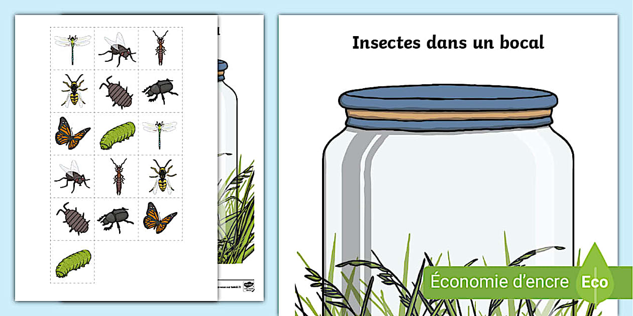 Activité de comptage avec des insectes - Twinkl