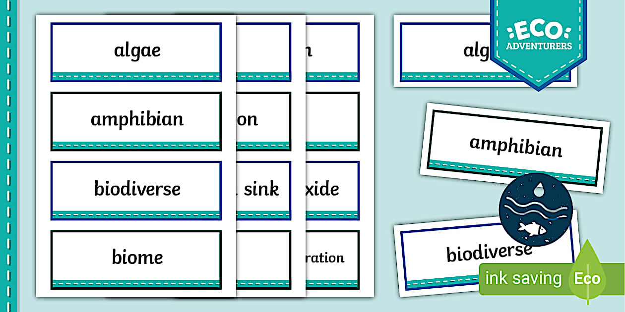 Year 4 Water & Life Below Water: Key Vocabulary Cards