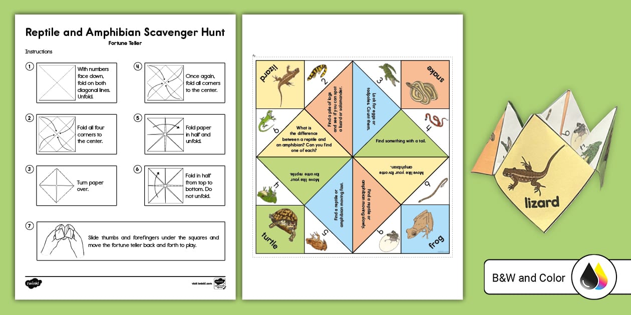 Reptile and Amphibian Scavenger Hunt Fortune Teller - Twinkl