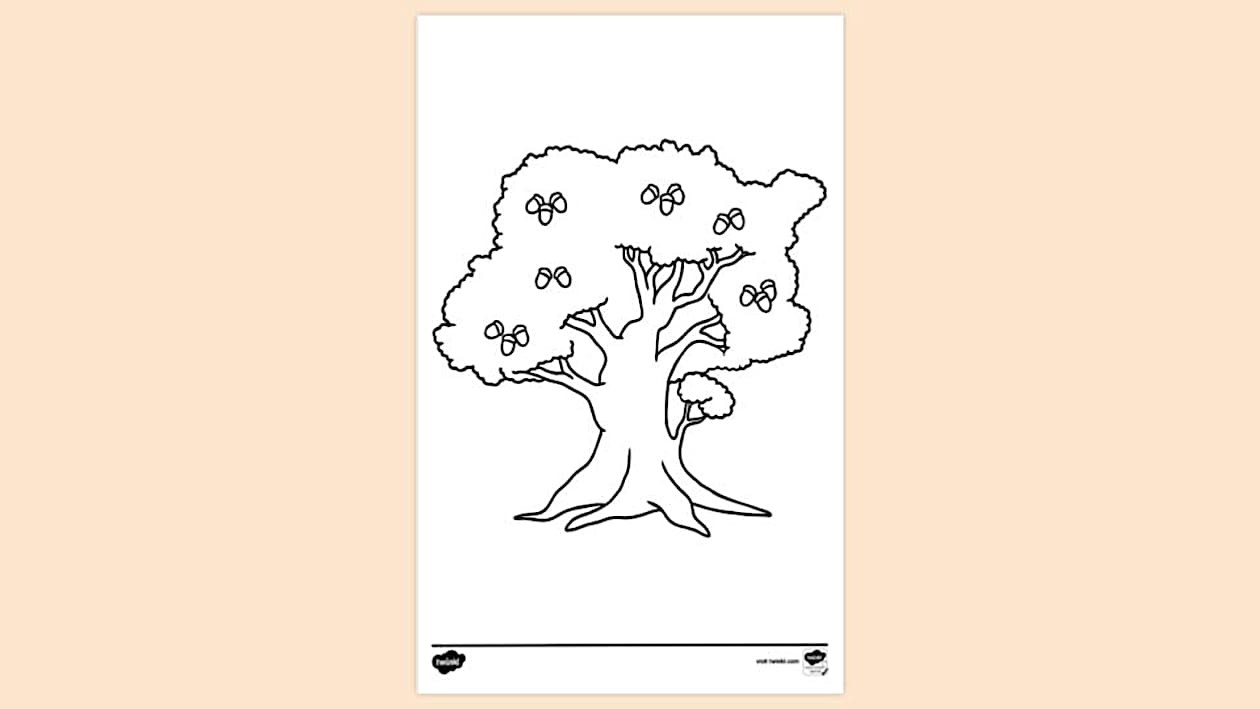Oak Tree with Green Leaves Colouring | Colouring Sheets