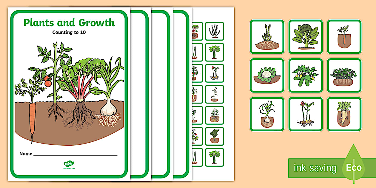 Plants and Growth Counting to 30 Cut and Paste Booklet - Plants and Growth