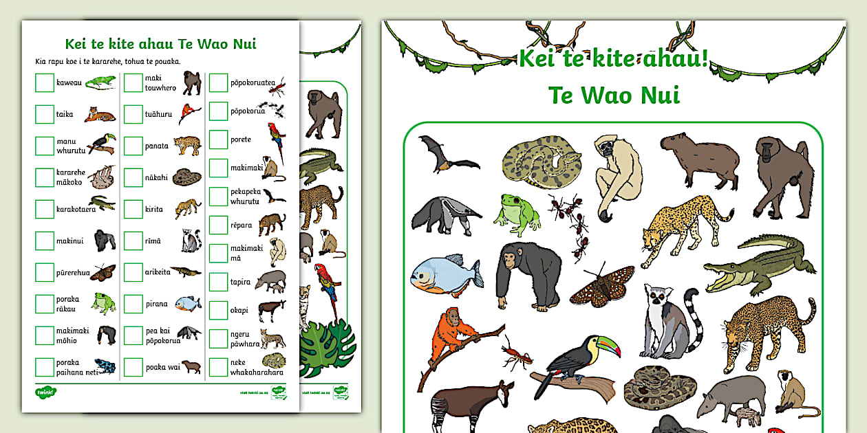 Kei te kite ahau! Te Wao Nui (teacher made) - Twinkl