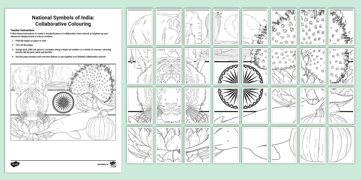 National Symbols of India Collaborative Colouring - Twinkl