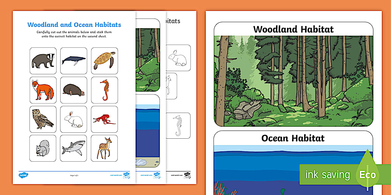 KS1 Animal Habitats for Kids - Sorting Worksheet - Twinkl