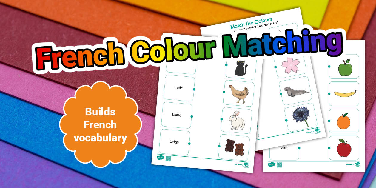 French Words for Colours Matching Worksheet