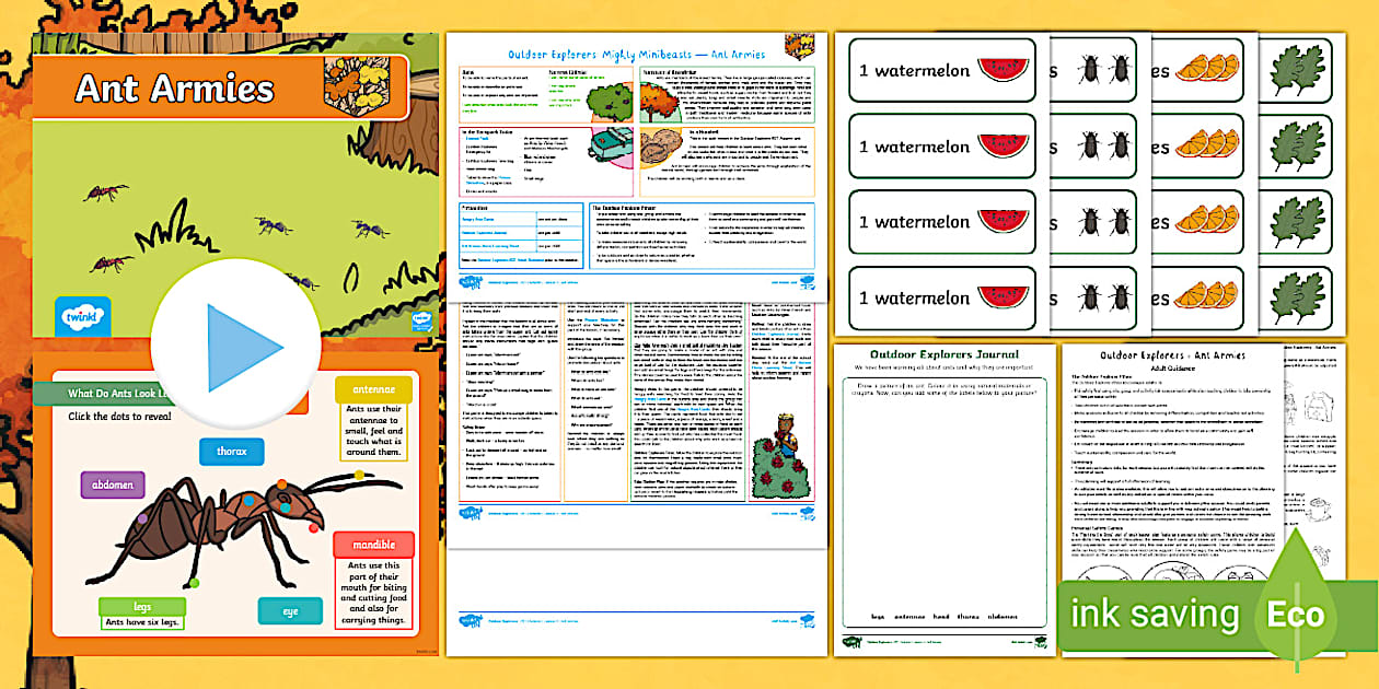 Outdoor Explorers KS1 Autumn Lesson 6: Ant Armies Lesson Pack