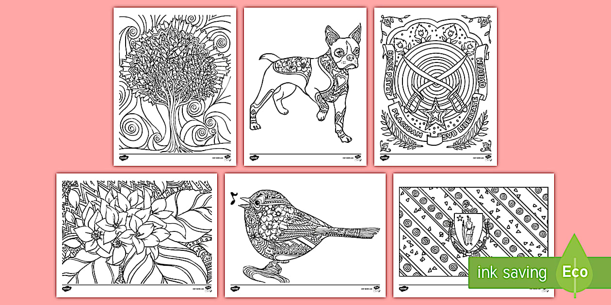 Massachusetts State Symbols Mindfulness Coloring Sheets