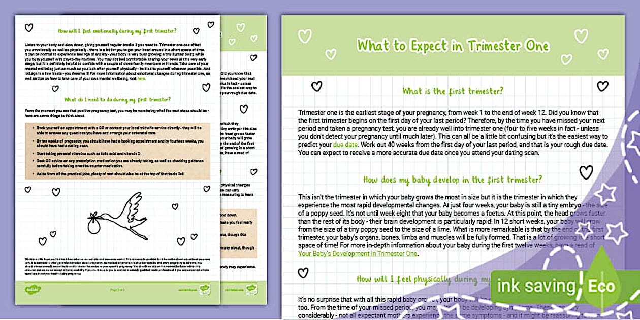 FREE! - What to Expect in Trimester One (Teacher-Made)