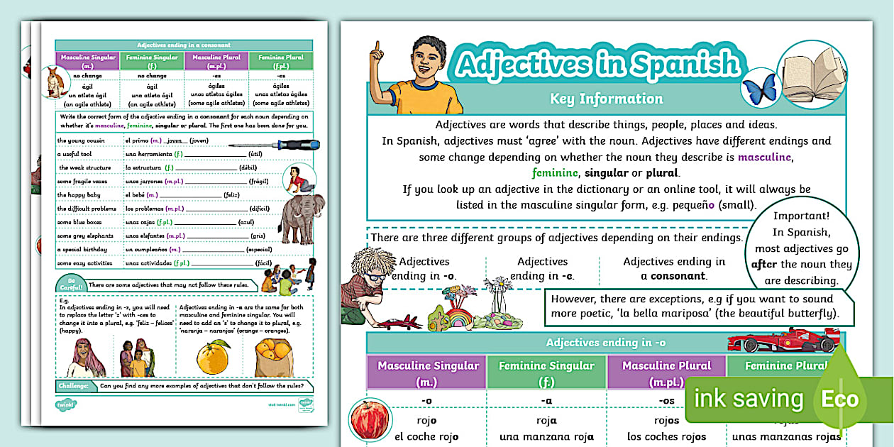 Spanish Grammar: Adjectives Worksheet (Hecho por educadores)