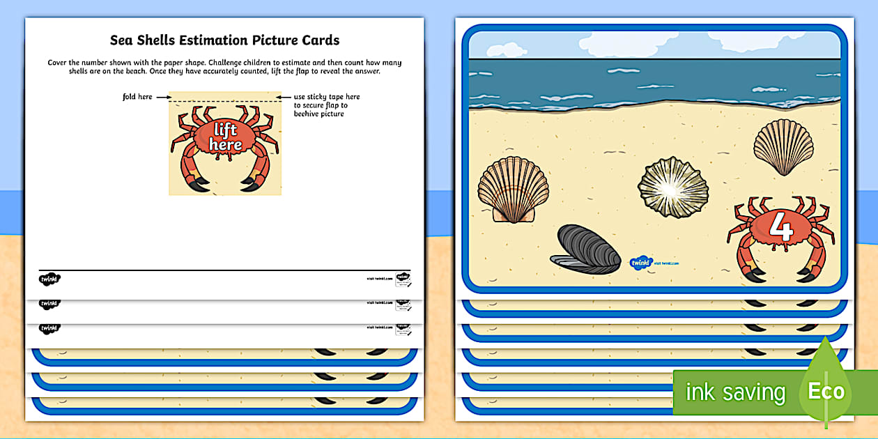 Sea Shells Estimation Picture Cards (Teacher-Made) - Twinkl
