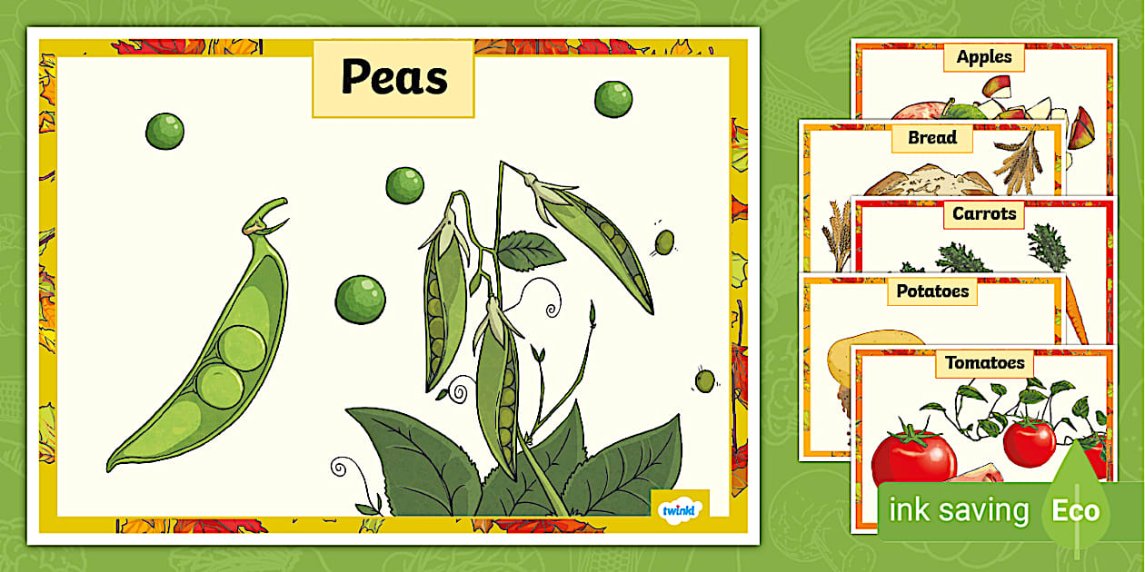 Harvest Festival Food Picture Posters - Harvest Festival
