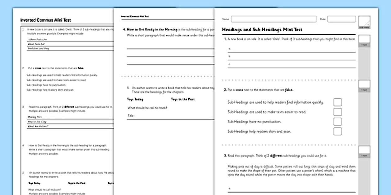 Headings and Sub Headings Test (teacher made) - Twinkl