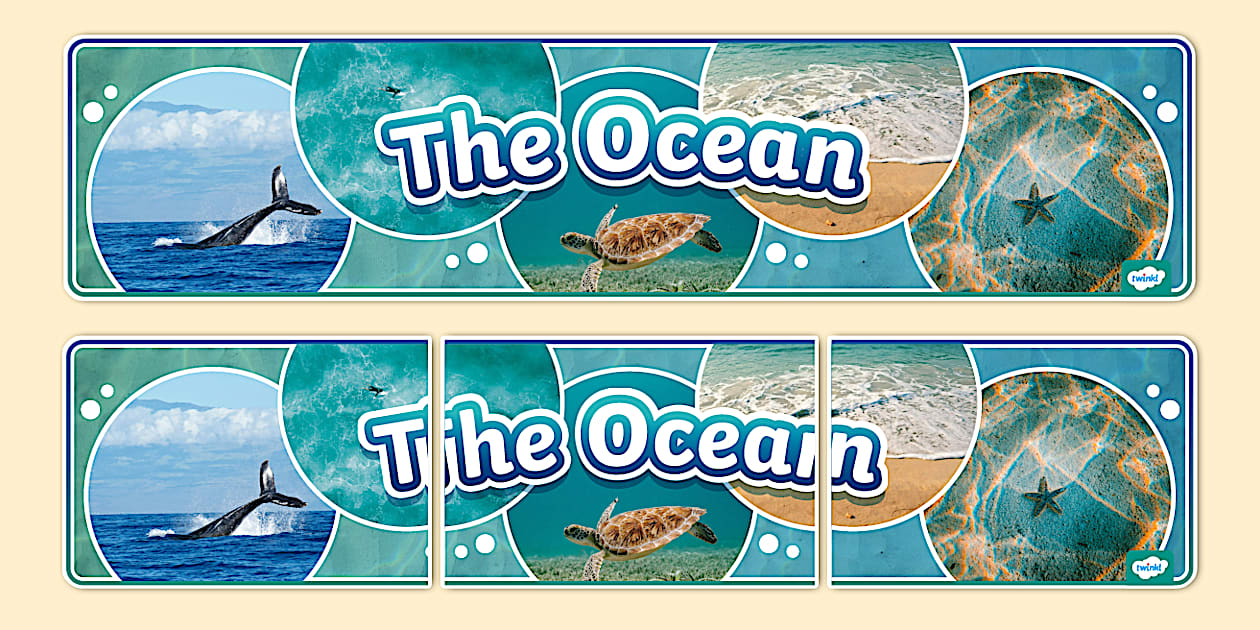The Ocean Photo Display Banner (Teacher-Made) - Twinkl