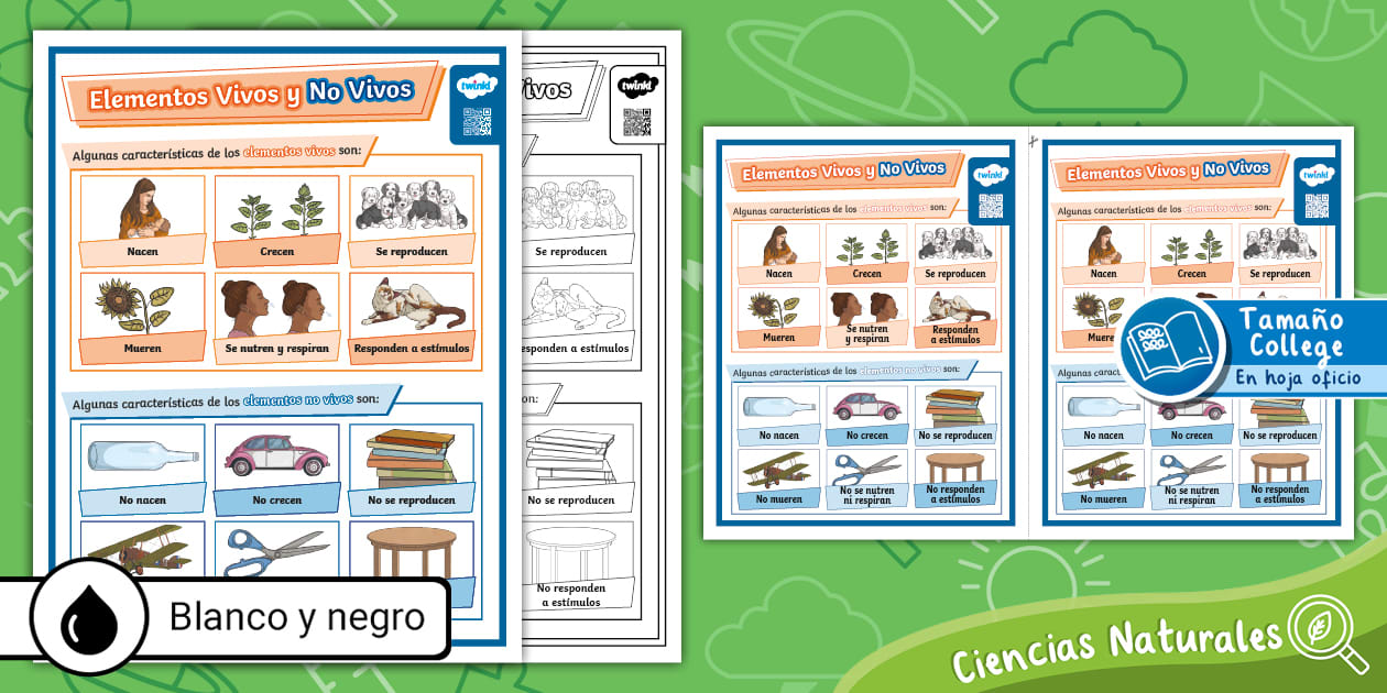 Poster | Elementos Vivos | No vivos | Ser Vivo | Inerte | 4°