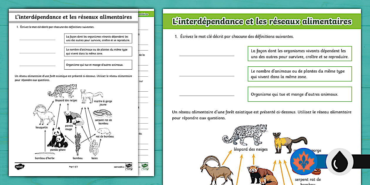 Interdependence and Food Webs Activity Sheet French - Twinkl