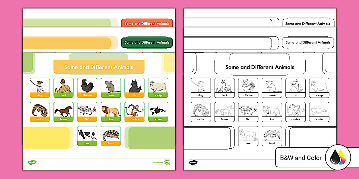 Same and Different Animal Comparison Worksheet - Twinkl