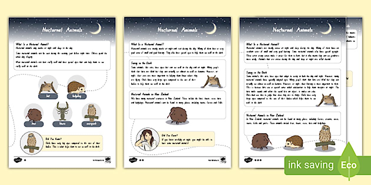 Nocturnal Animals Differentiated Reading Comprehension