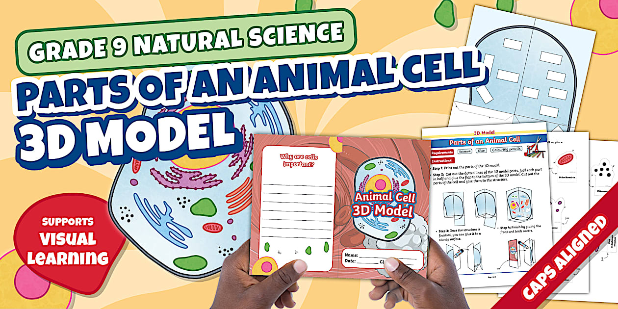 Grade 9 NS - Term 1 - Parts of an Animal Cell - 3D Model