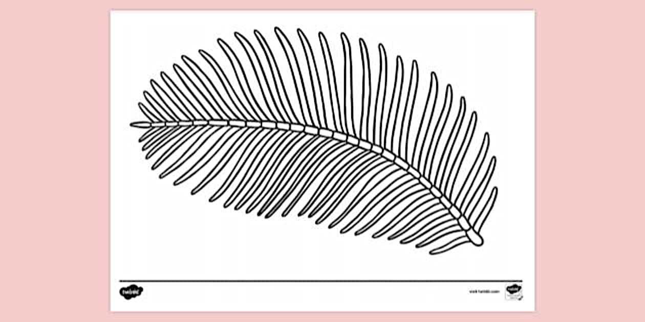 Bug Antenna 5 Colouring | Colouring Sheets - Twinkl