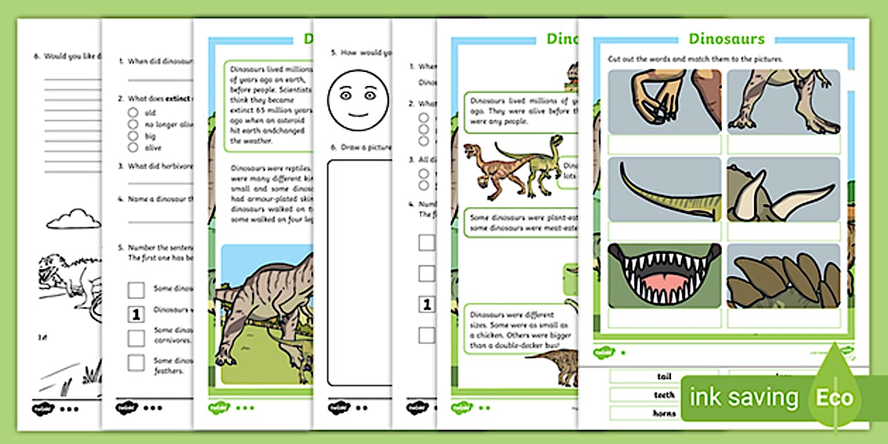 Let’s Learn About Dinosaurs | Reading Comprehension | Twinkl