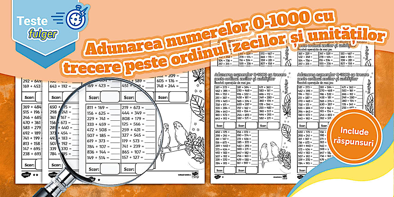 Adunarea 0-1000 cu trecere peste ordin – Test fulger