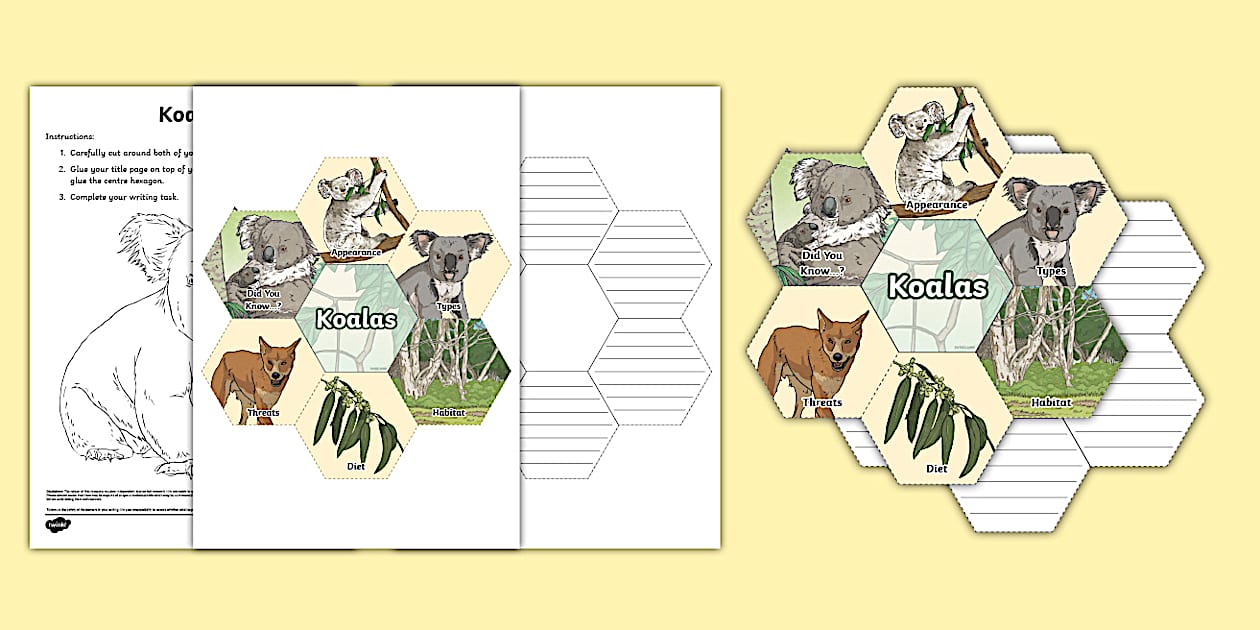 Koala Hexagon Writing Template (teacher made) - Twinkl