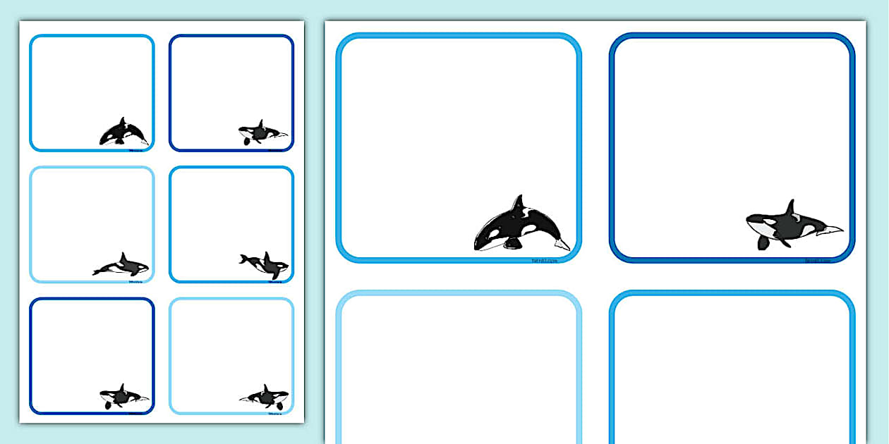 Orca-Themed Square Peg Labels (teacher made) - Twinkl