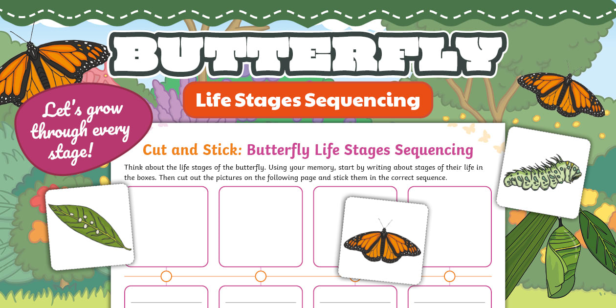 * NEW * Cut and Stick: Butterfly Life Stages Sequencing Worksheet