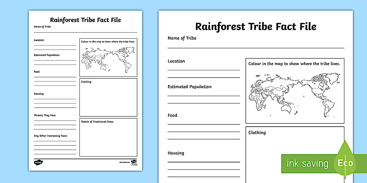 Editable The Tribes of the Rainforest Fact File Worksheet
