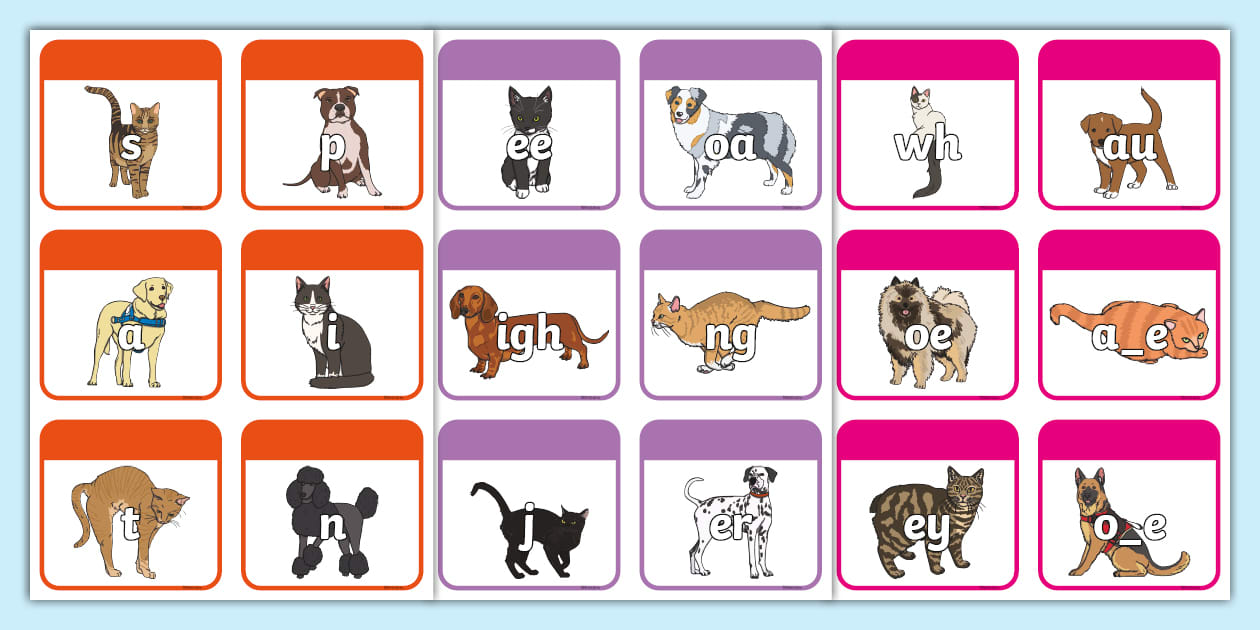 Phase 2 to 5 Phonemes on Cats and Dogs Flashcards