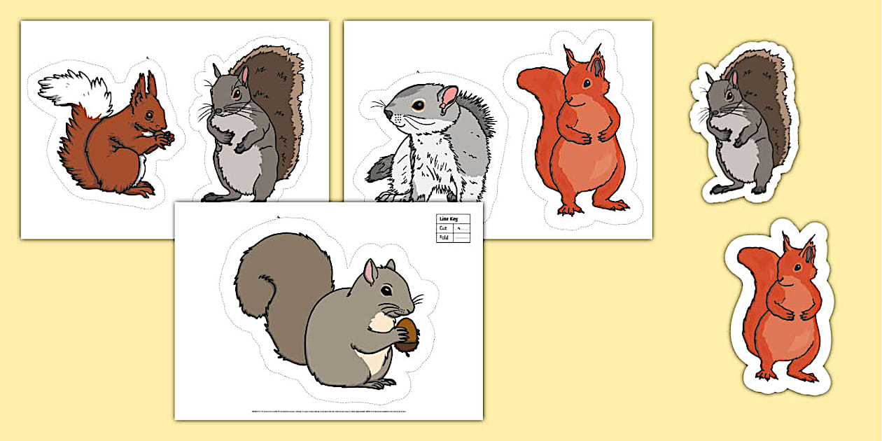 Squirrel Illustrations Display Cut-Outs - Twinkl