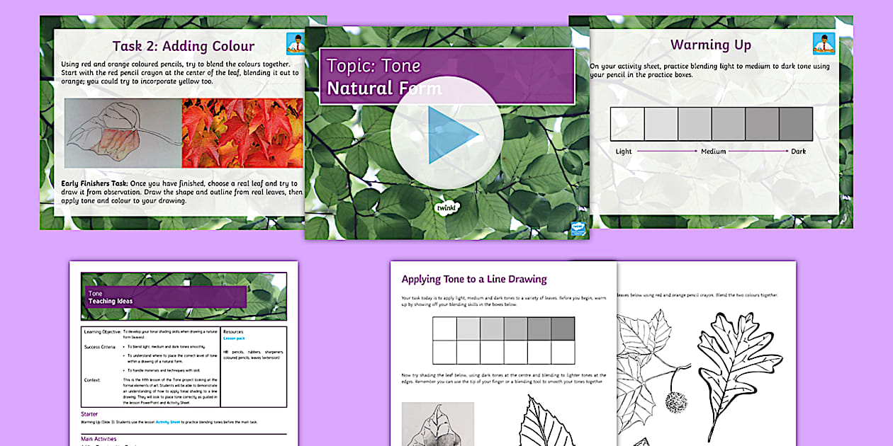 Black and White Tone Lesson 5: Natural Form (teacher made)