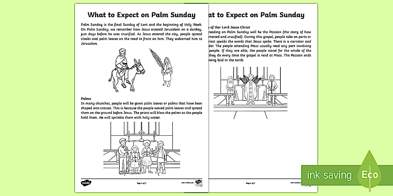 Catholic What to Expect on Palm Sunday Guide (teacher made)