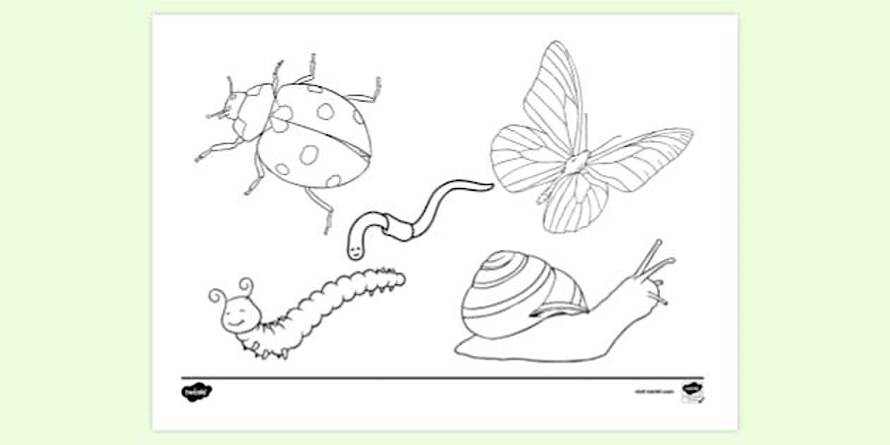 Printable Bug Colouring Page | Colouring Sheets | Twinkl