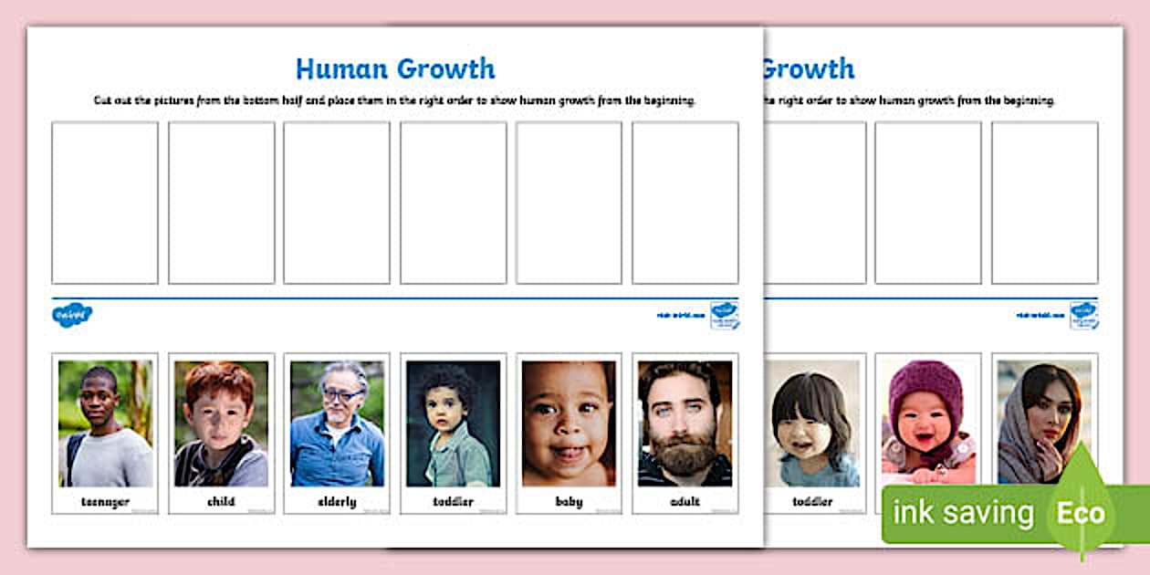 Editable Human Growth Photo Timeline Worksheet - Twinkl