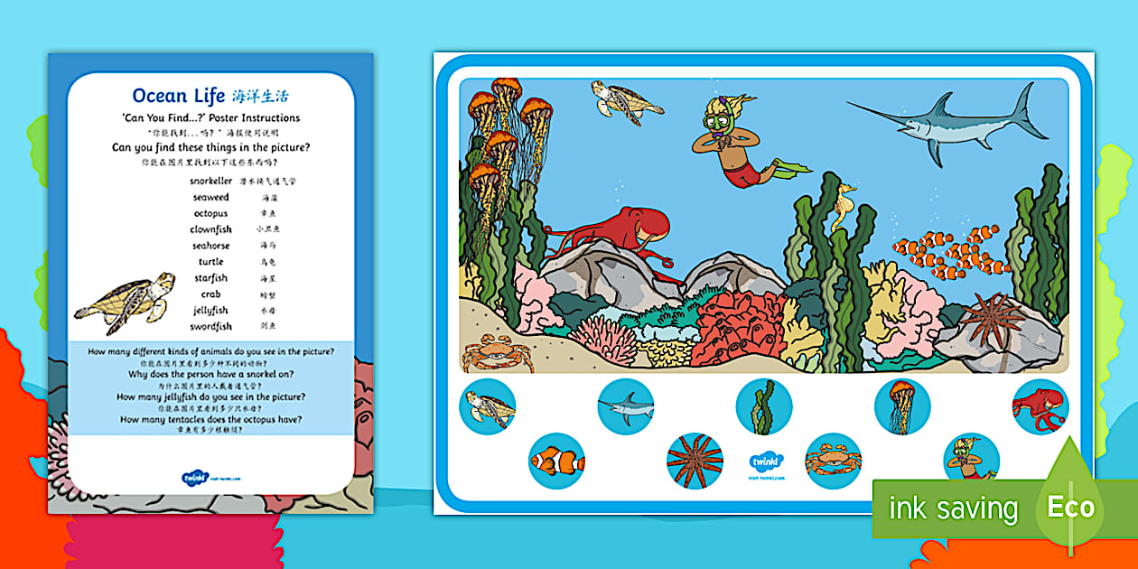 Ocean Life Can You Find...? Card Pack English/Mandarin Chinese