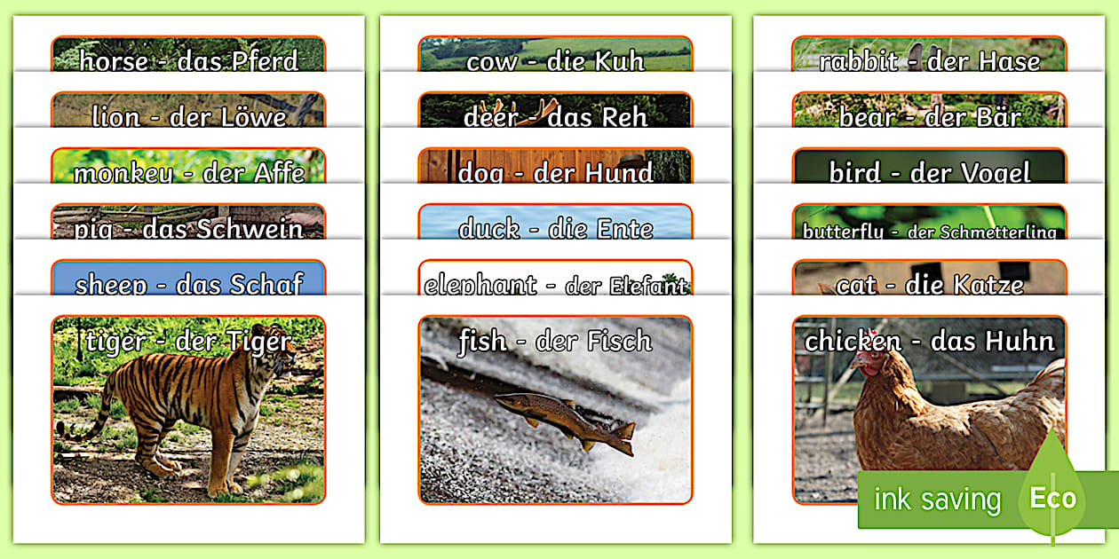 Animals Display Photos English/German (teacher made)