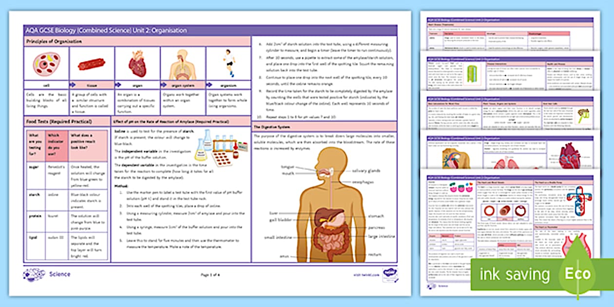 Organisation Knowledge Organiser | AQA Science | Beyond