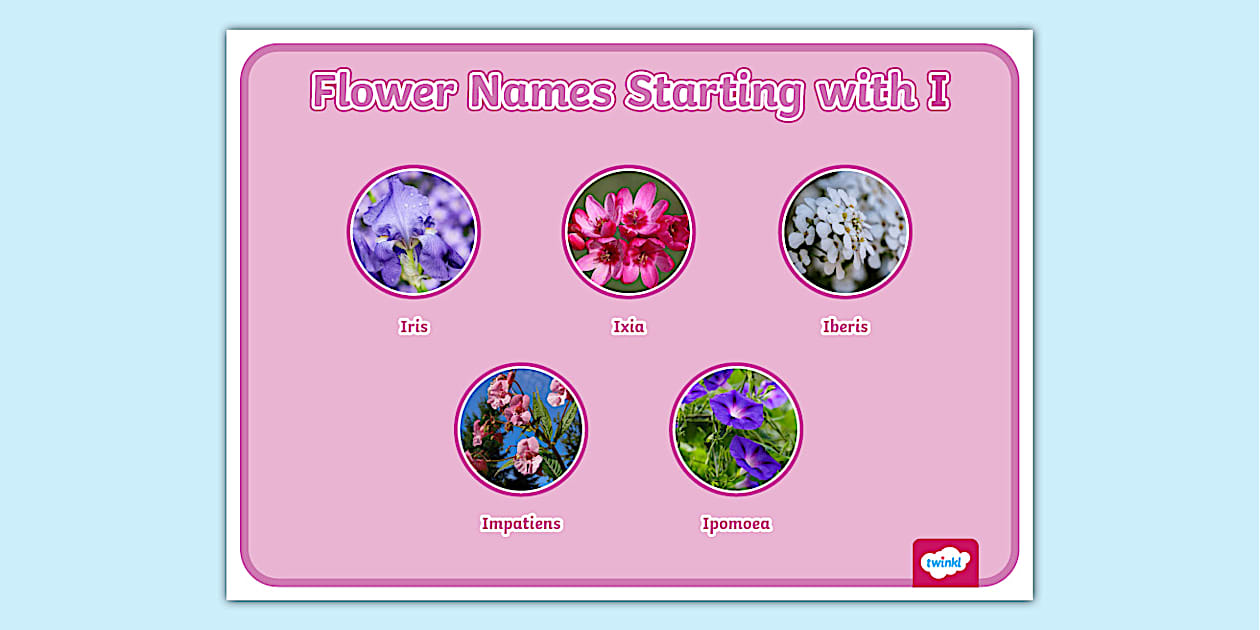 Flower Names Starting with 'I' Display Poster - Twinkl