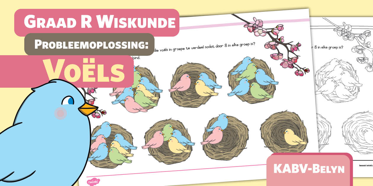 Graad R Wiskunde - Probleemoplossing Voëls - Aktiwiteit (KABV-Belyn)