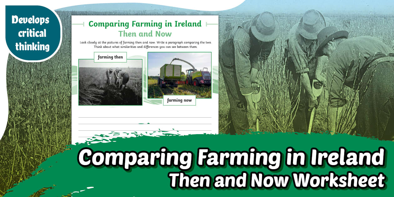 Comparing Farming in Ireland Then and Now Worksheet