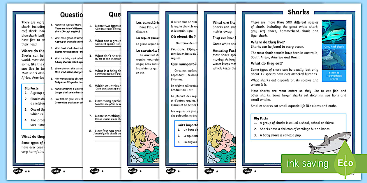 Sharks Reading Comprehension Activity English/French