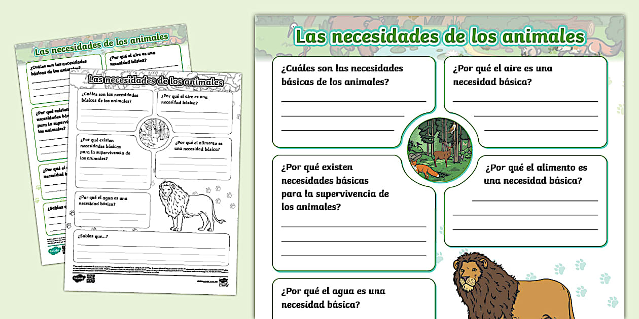 Hoja de información: Las necesidades de los animales