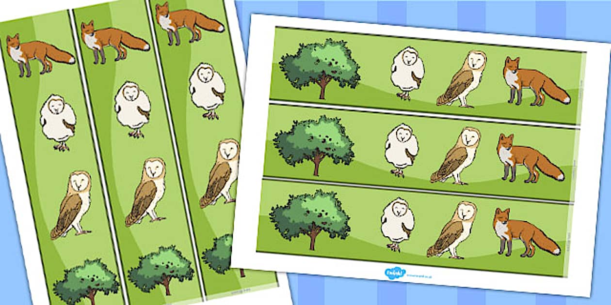 Owl Display Borders (teacher made) - Twinkl