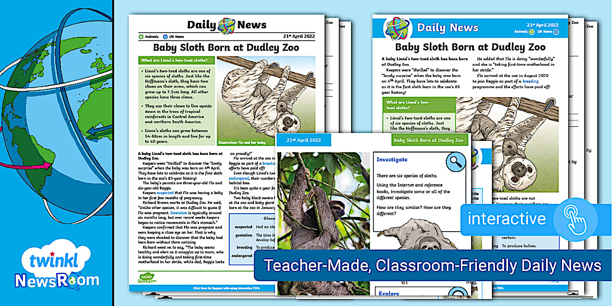 Dudley Zoo Sloth Born - KS2 Articles & Reading Comprehension