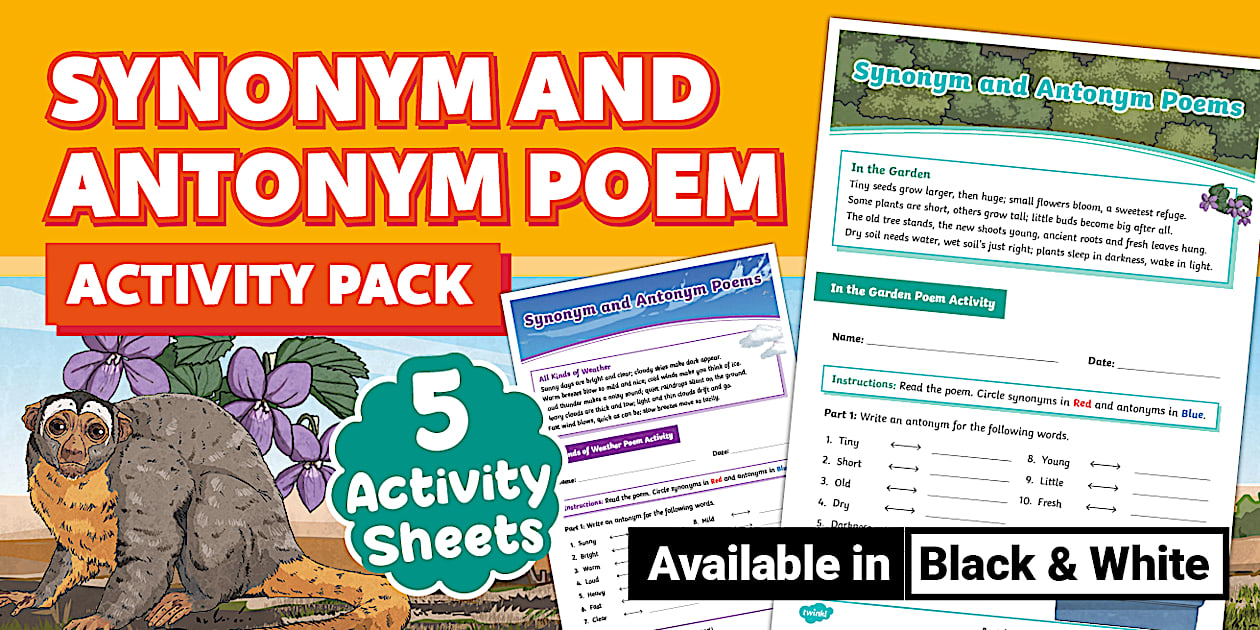 Synonym and Antonym Poem Activity Pack (teacher made)