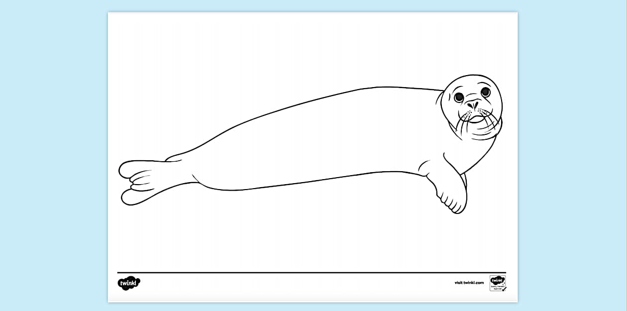 Seal Colouring Page | Colouring Sheets (Teacher-Made)