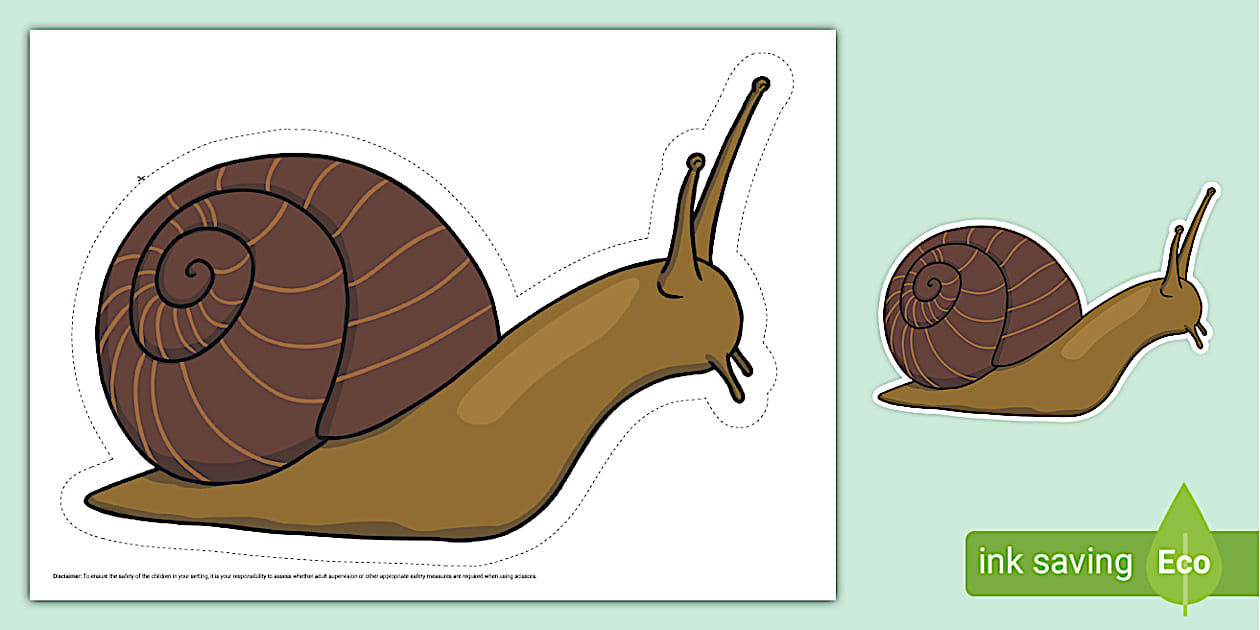 Snail Display Cut-Out, Snail Cut Out, Snail Cutout - Twinkl