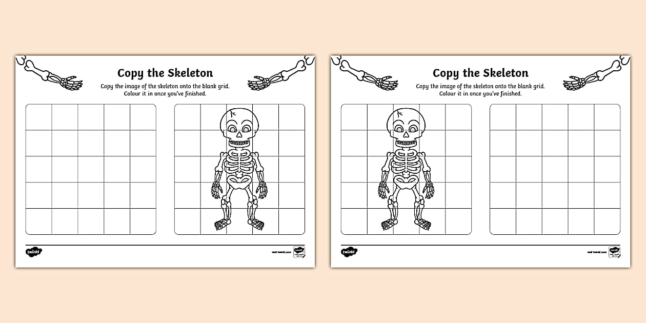 Copy the Skeleton Worksheet (teacher made) - Twinkl