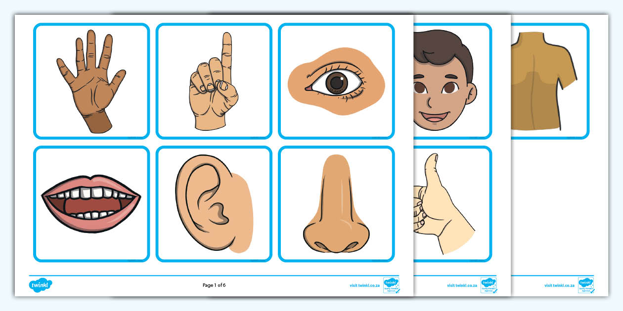 Parts of the Body Words and Pictures Matching Cards - Twinkl
